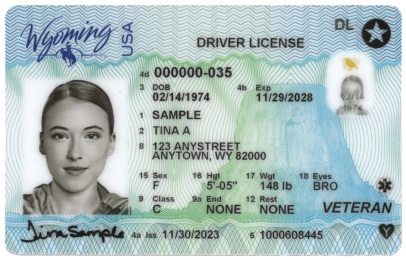 USA DRIVER'S LICENSE | Top Authentic Documents